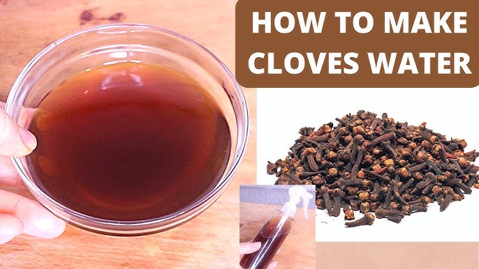Unlocking the Power of Clove Water: Surprising Health Benefits Revealed ...