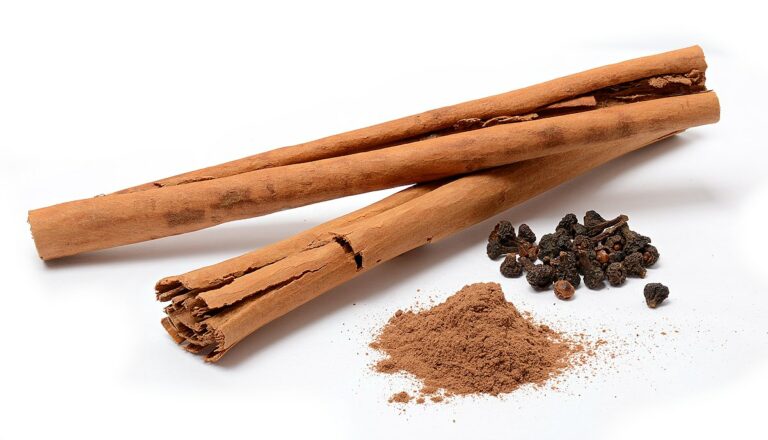 Cinnamon Bark: Benefits and Uses – Green Tricks