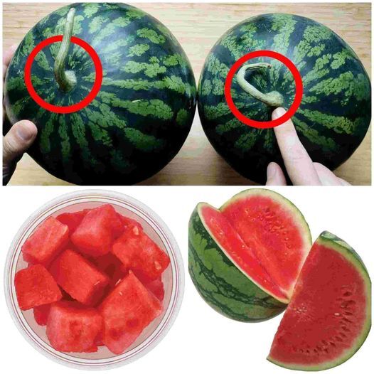How to Tell If a Watermelon Is Sweet at a Glance – Easy Tips for ...