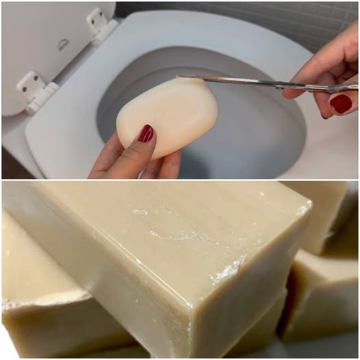 Cut the Soap and Thank Me Later: A Simple Trick for a Fresh-Smelling, Sparkling Toilet! – Green ...
