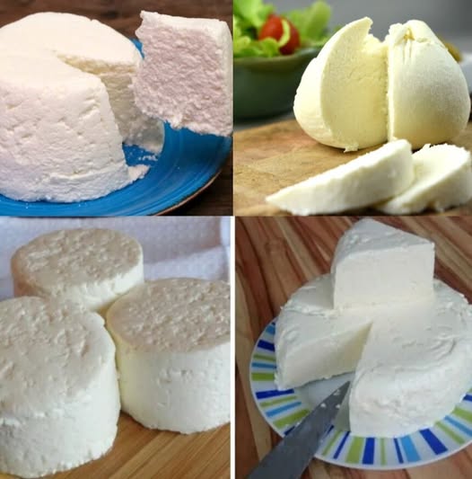 Homemade Cheese: A Simple and Delicious Recipe – Green Tricks