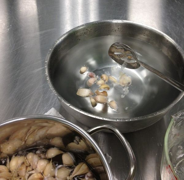 Boil Garlic and Drink the Liquid: THIS Will Happen to Your Body ...