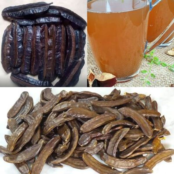 Uncovering the Origins and Appearance of Carob – Green Tricks