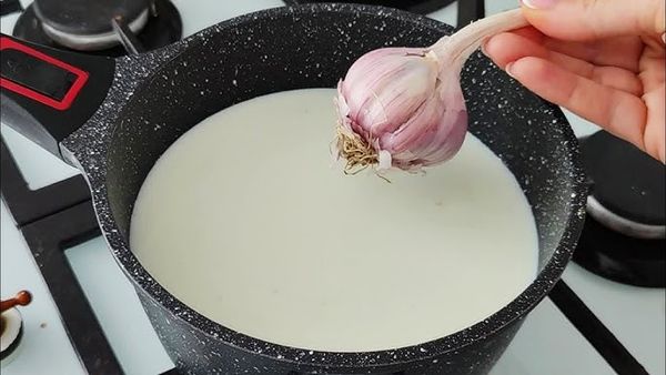 Embrace the Power of Garlic Milk for Your Well-being! – Green Tricks