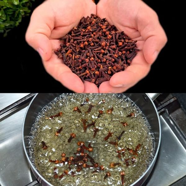 The Power of Cloves: A Natural Miracle for Health – Green Tricks