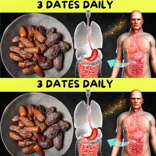 Eat 3 Dates Daily for a Week and THIS Will Happen to Your Body 🌴 ...