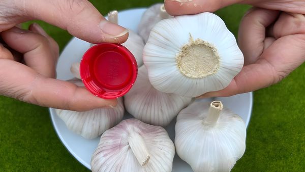 Easy Garlic Peel Hack – Green Tricks