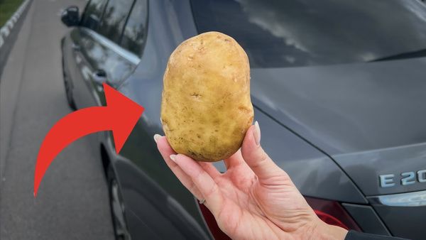 Keeping Your Windshield Clear with a Potato in Your Car – Green Tricks