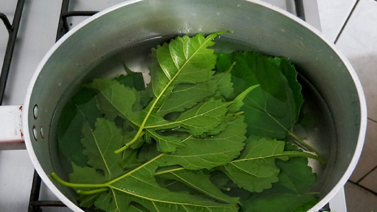 5 Miracle Cures of Garlic That Will Surprise You – Powerful Benefits ...