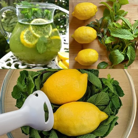 Mix Lemons with Mint – My Family Is Surprised by the Result! 🍋🌿 – Green ...