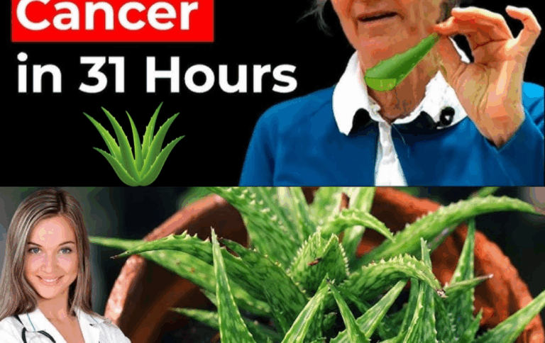 Barbara O’Neill’s Natural Wisdom for Cancer Support: A Holistic Path to ...