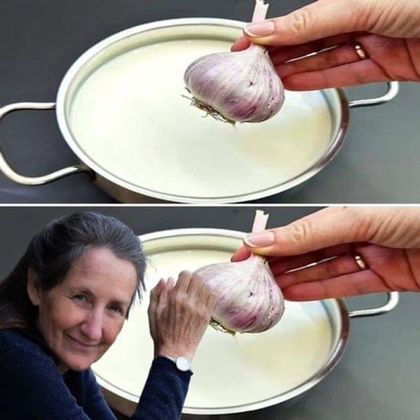 Discovering the Remarkable Benefits of Garlic Milk: A Time-Honored ...