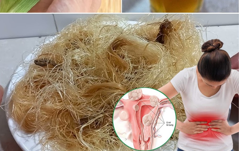 Corn Silk: 30 Powerful Health Benefits & Modern Uses – Green Tricks