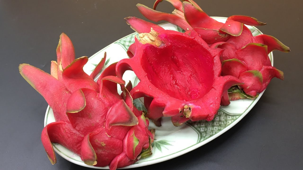 Dragon Fruit Peels Are a Hidden Treasure: Don’t Throw Them Away ...