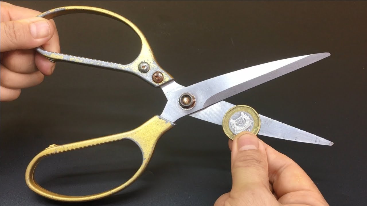 Scissors SHARP as a RAZOR with Just One Coin – No Tools, No Hassle ...